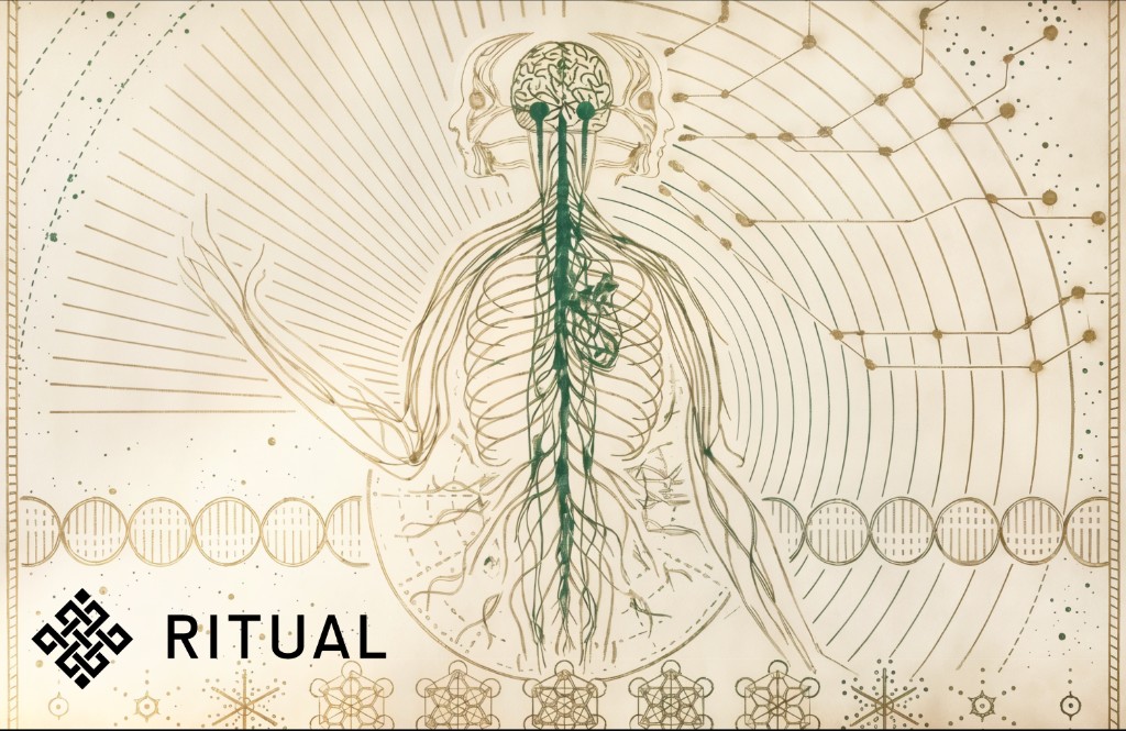 Ritual | Privacy Policy